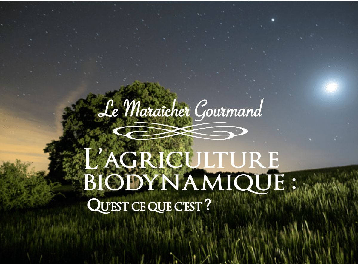 La Biodynamie : Une agriculture d’hier & de demain